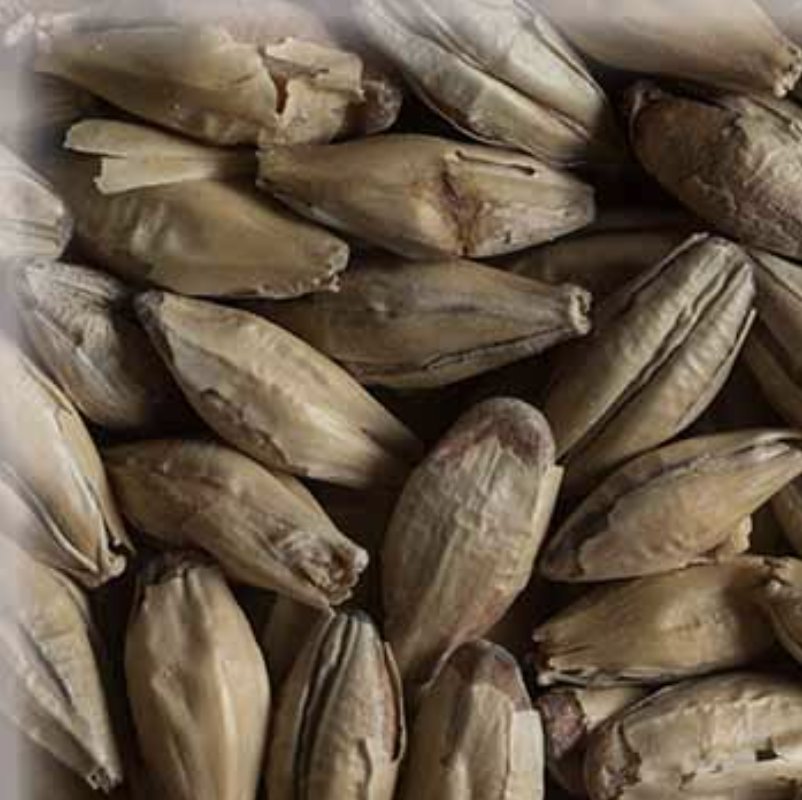 Malta Cara Munich Type III - KG - Weyermann | PalmaRosa